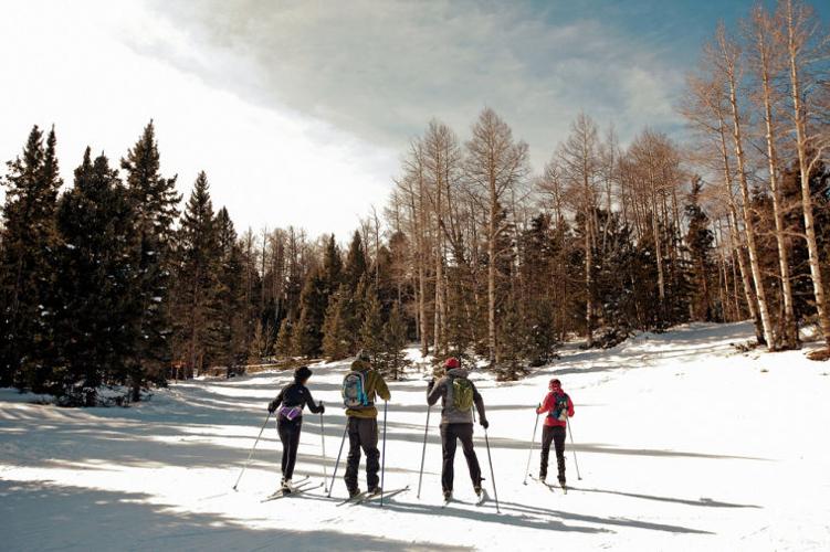 enchanted forest pace