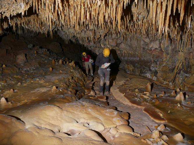 Exploration of Fort Stanton Cave continues to yield captivating ...