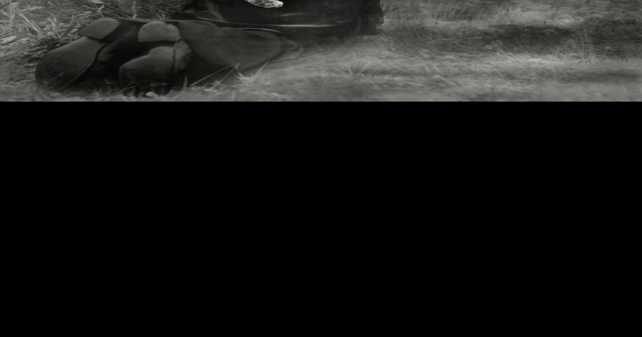 Beth Moon at Photo-eye Gallery | Exhibitionism | santafenewmexican.com