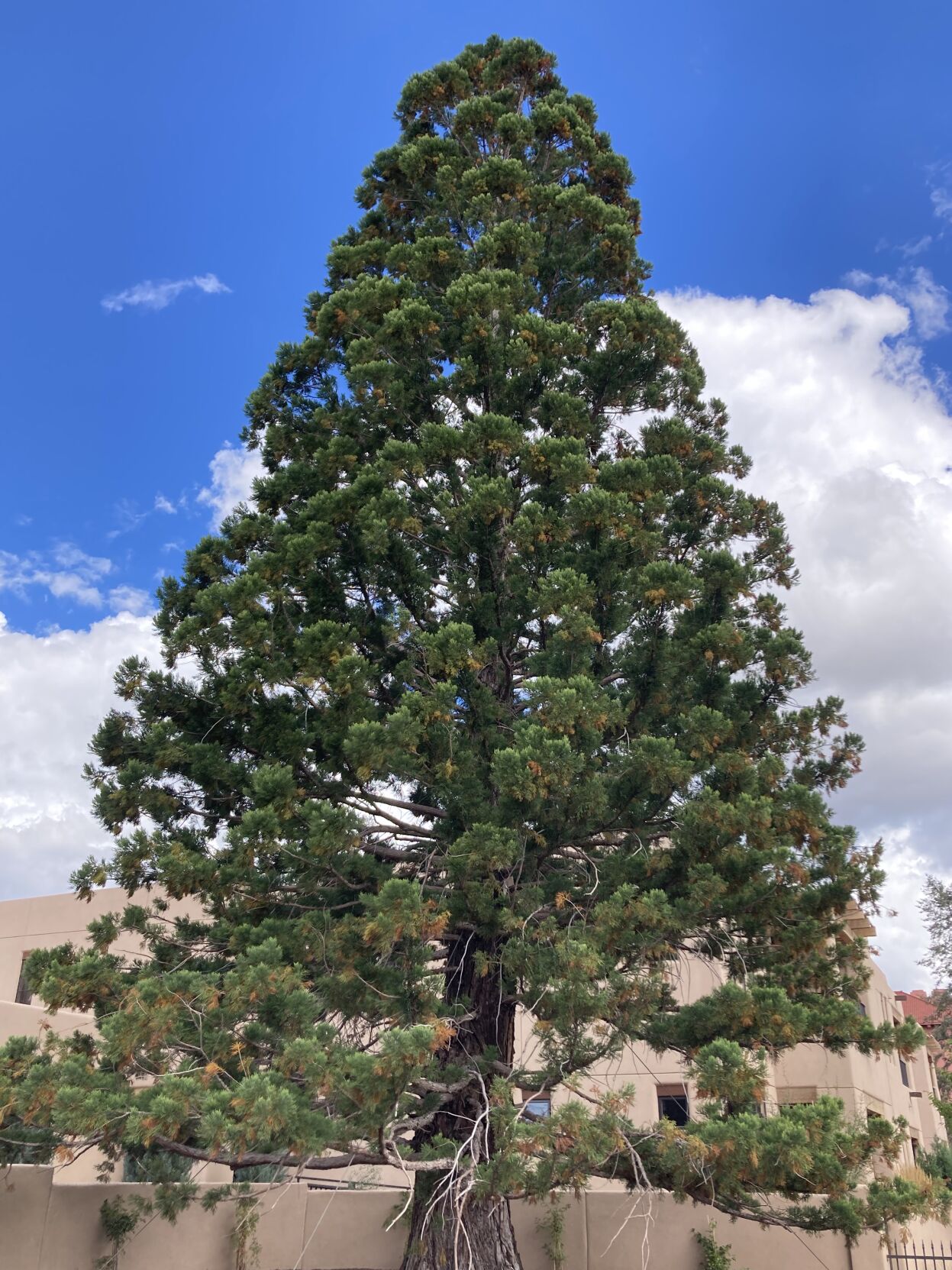 La Secoya: A glimpse into the future of Santa Fe “home” living | Real ...