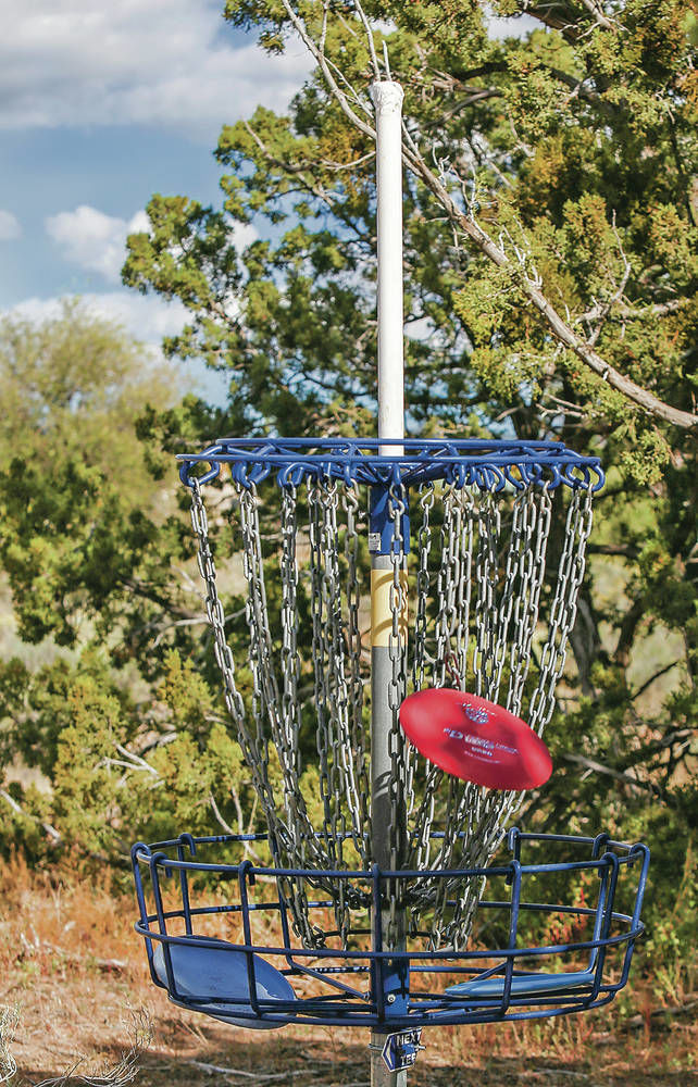 Disc golfer takes flyer on expanding sport’s reach | Sports ...