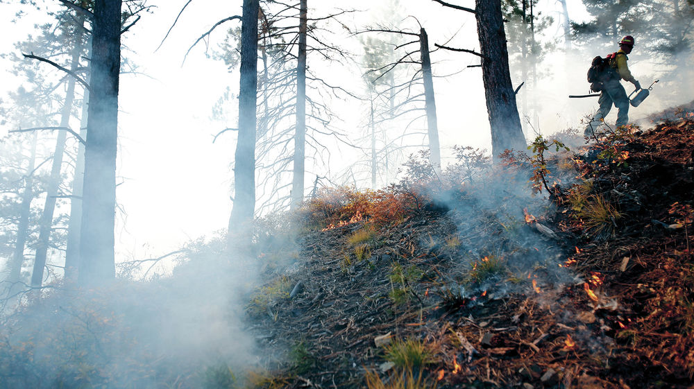 Firefighters fight fire with fire to secure watershed | Local News ...