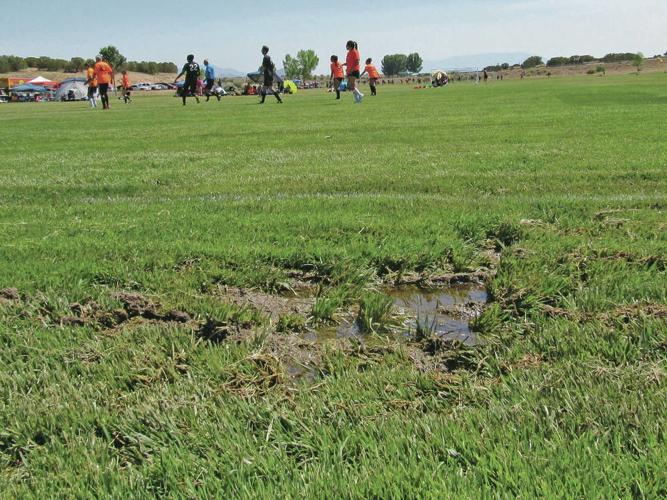 Soccer fields’ makeover at Municipal Recreation Complex praised ...