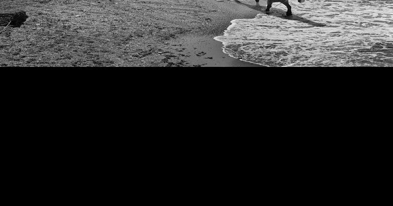 Close to the land: Photographs by Barbara Van Cleve | Books ...