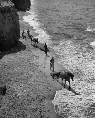 Close to the land: Photographs by Barbara Van Cleve | Books ...