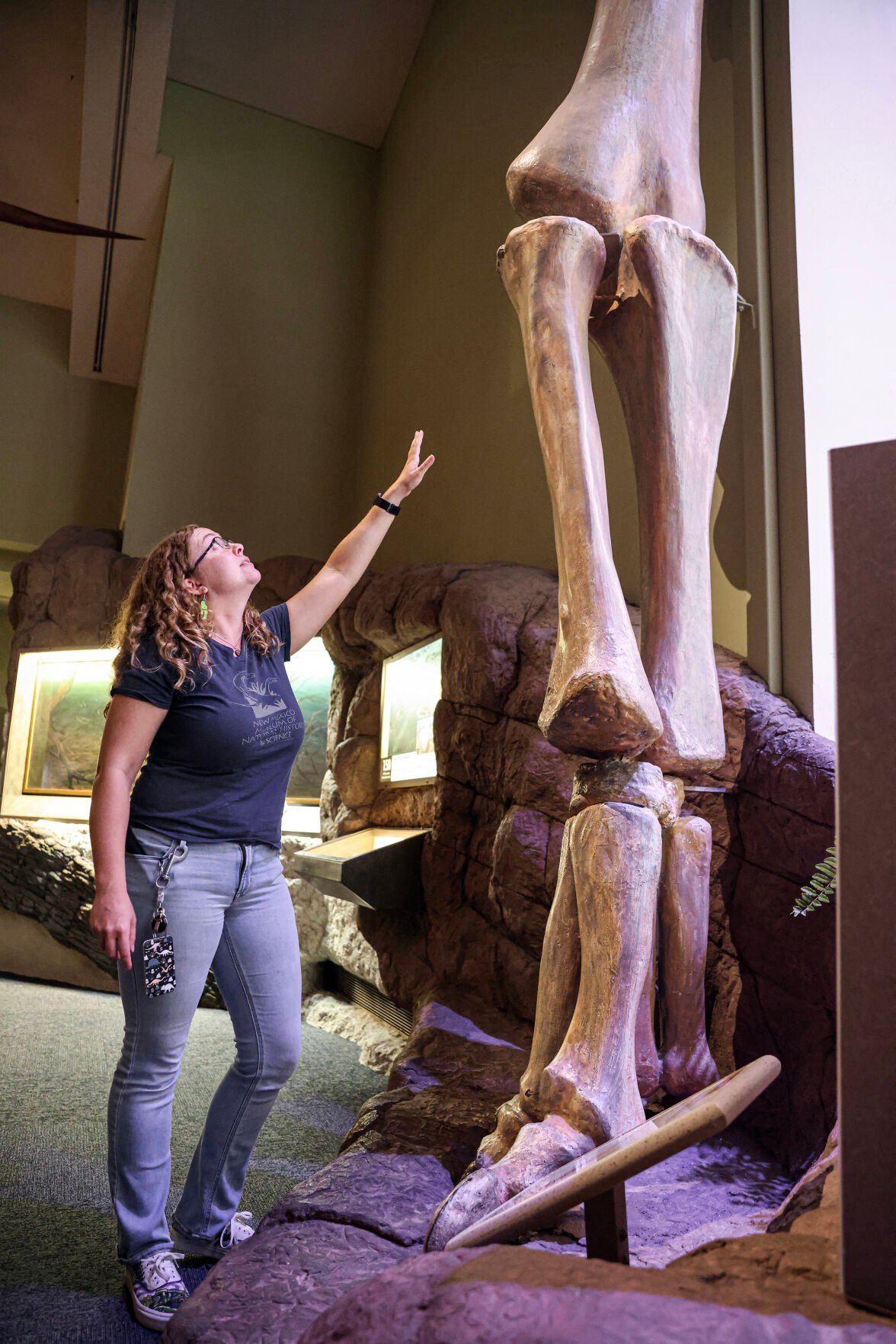 New Mexico natural history museum asks you to remember the Alamosaurus ...