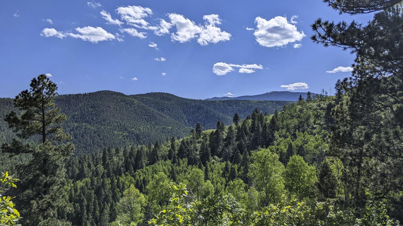 Itching for a stunning spring hike in the Pecos Wilderness? Try Stewart ...