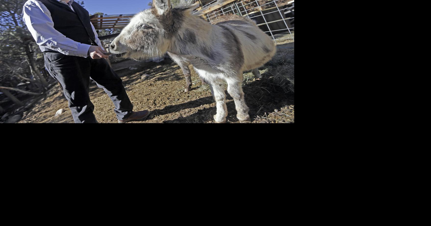 24 hours at home with Stuart Ashman | Real Estate | santafenewmexican.com