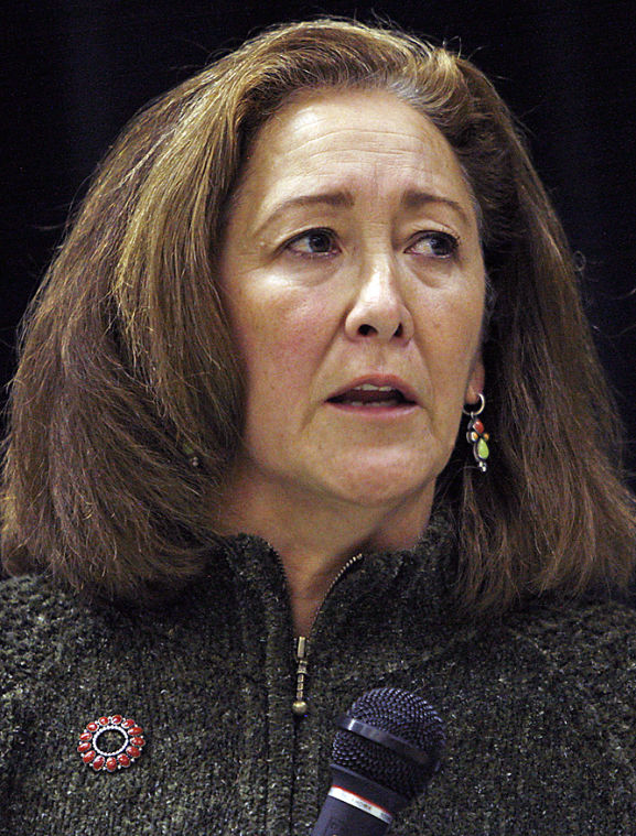 Municipal election: District 2 seeks a new ‘champion’ | Local News ...