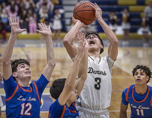 10 most intriguing Northern teams in state basketball tournament ...