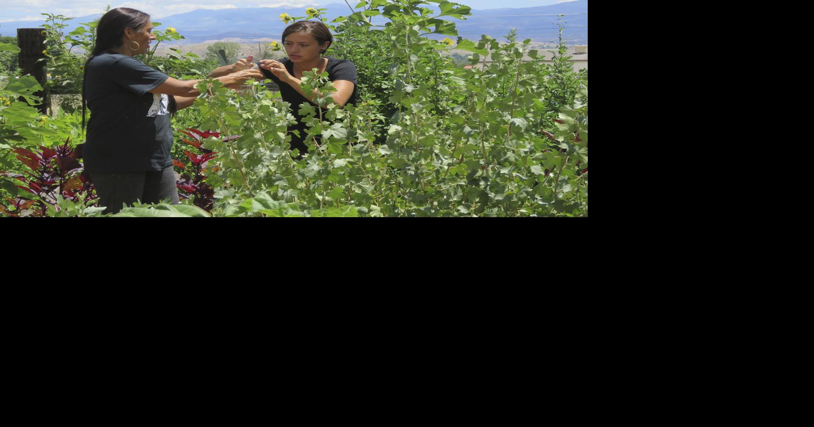 The politics of dinner: "Return: Reclaiming Native American Foodways ...