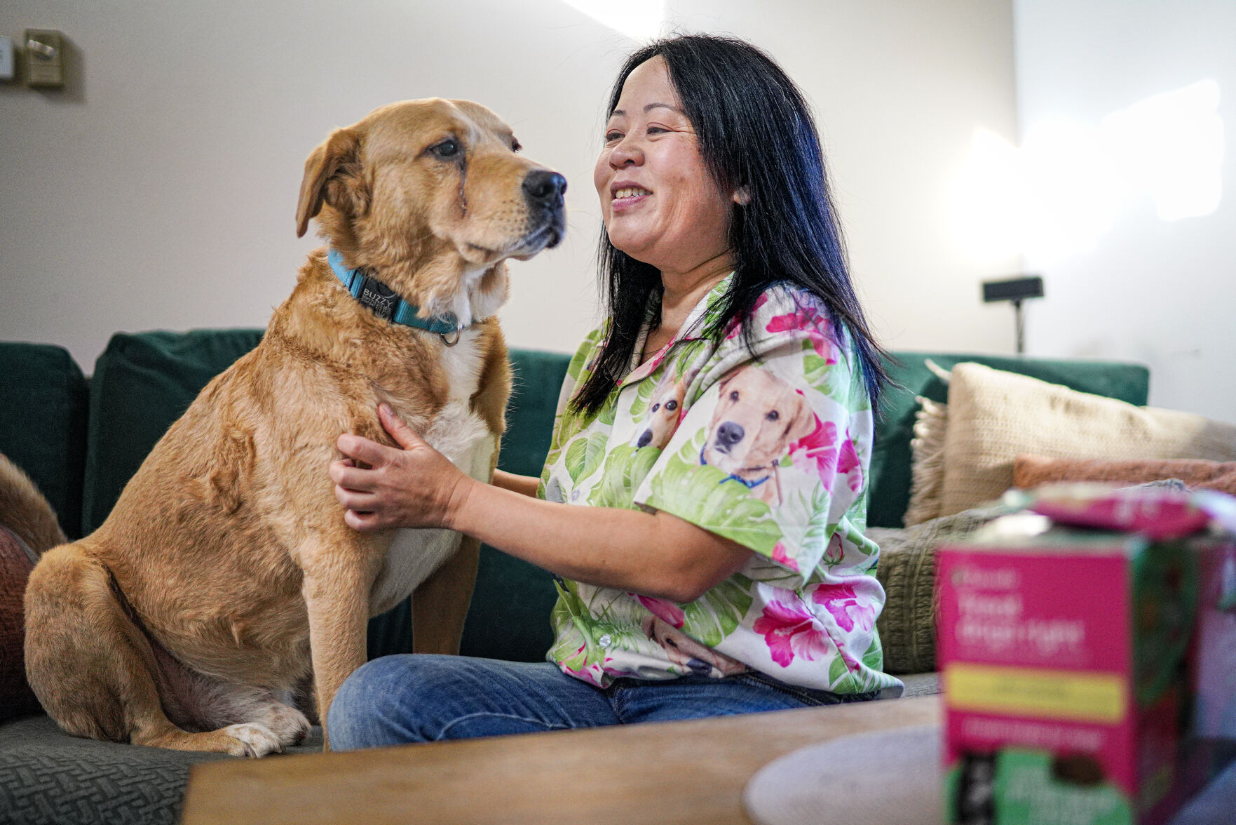 Tycoolz frozen dog treats founder aiming for new markets as growth ...