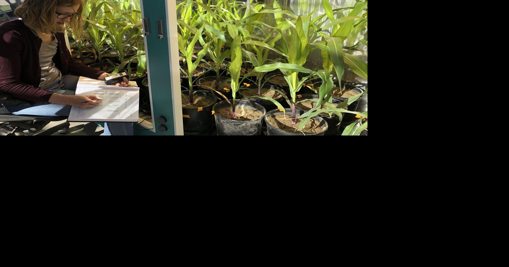 Can plant science save the world? | Health And Science ...