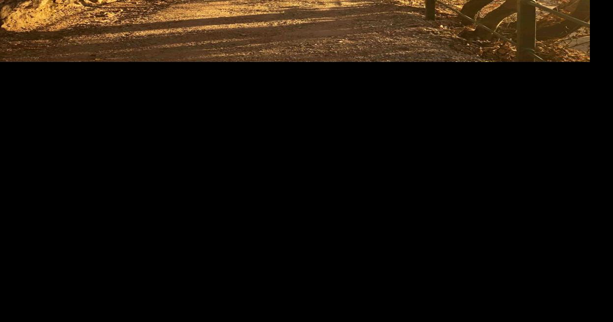 The Master Gardeners: Contemplating the healing powers of nature | Home ...