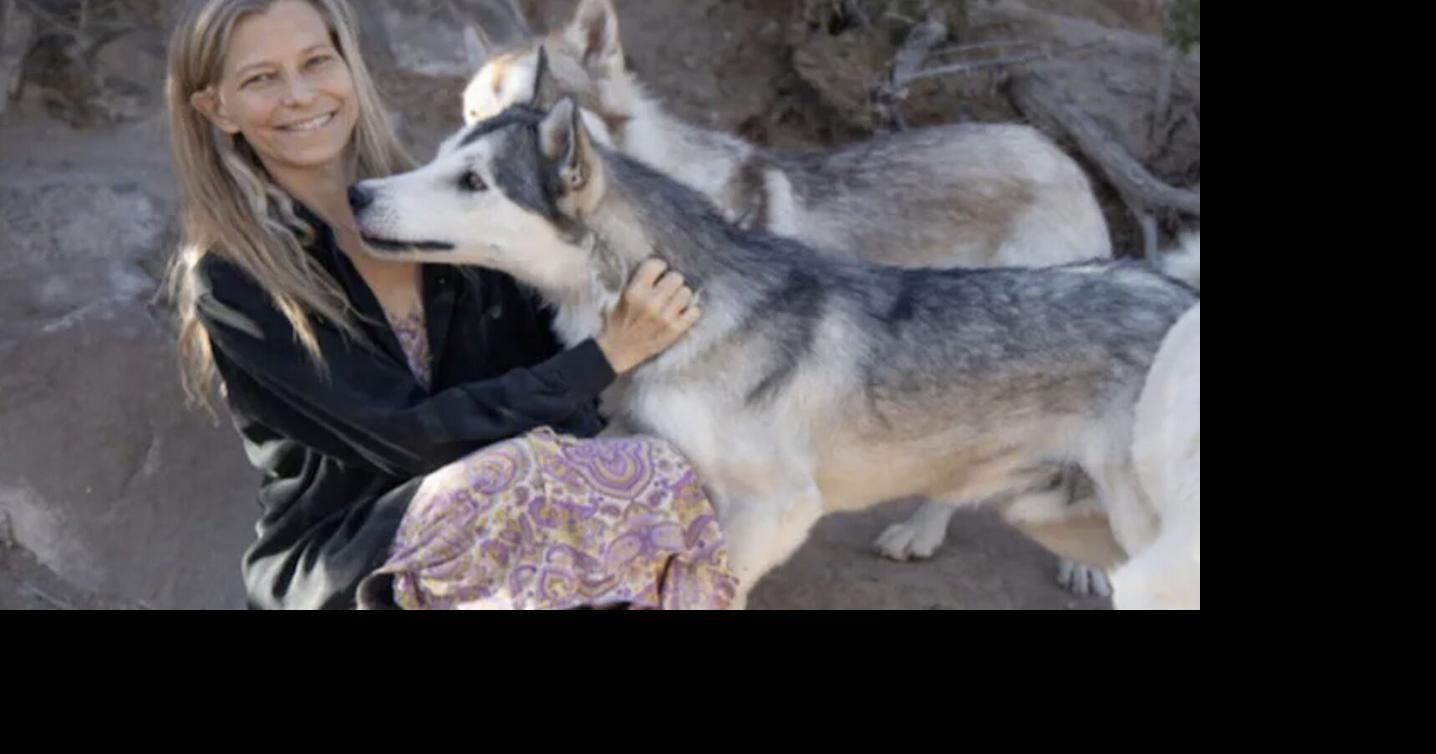 Wolf-dog pack in Embudo sets residents on edge | Local News ...