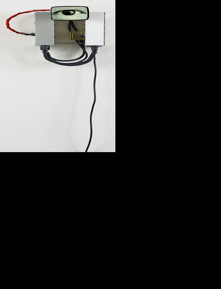 Nature and technology combined at Art House | Exhibitionism ...