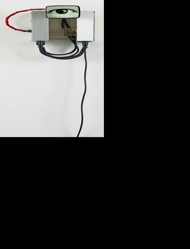 Nature and technology combined at Art House | Exhibitionism ...