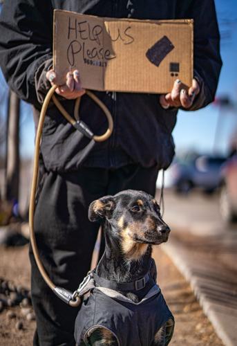 Governor's call for panhandling crackdown raises concerns | Local News ...