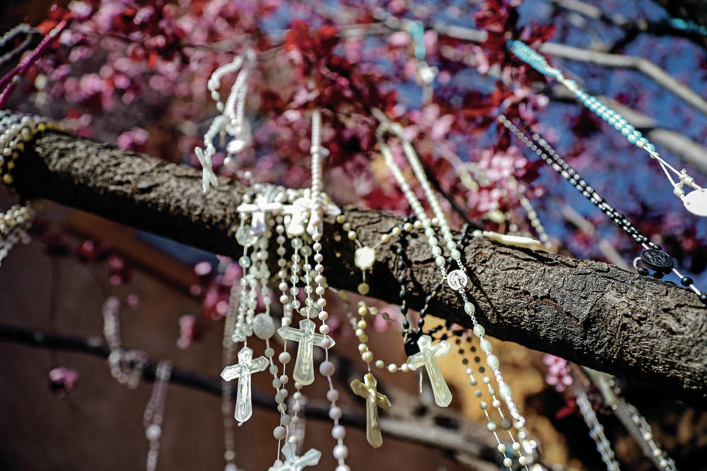Photos: Rosaries hang from trees at Santa Fe’s Loretto Chapel | Local ...