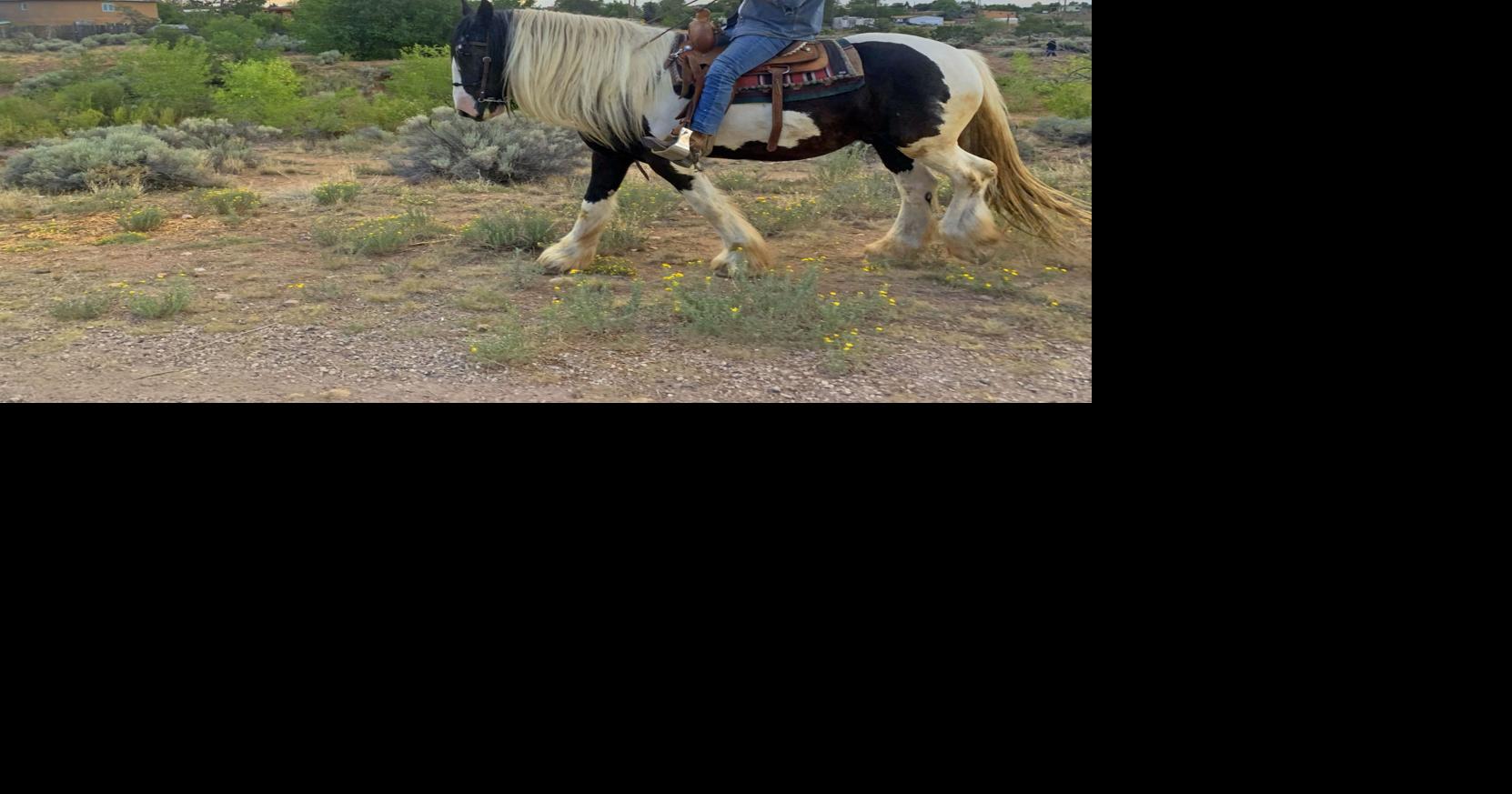 Moseying along the river | | santafenewmexican.com