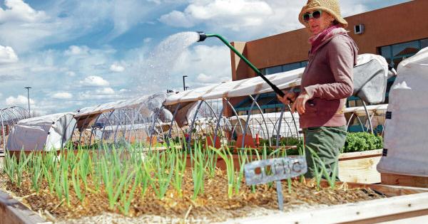 SFCC’s Culinary Arts Garden helps students cultivate more than produce ...