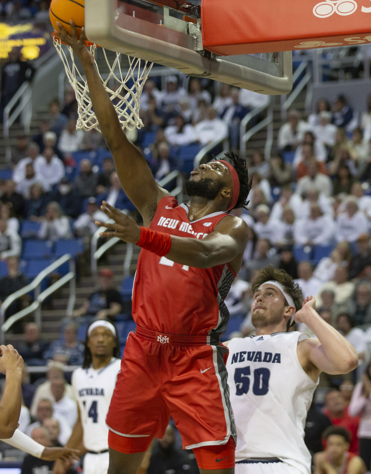 Still confident, Lobos look to rebound against Air Force | Sports ...