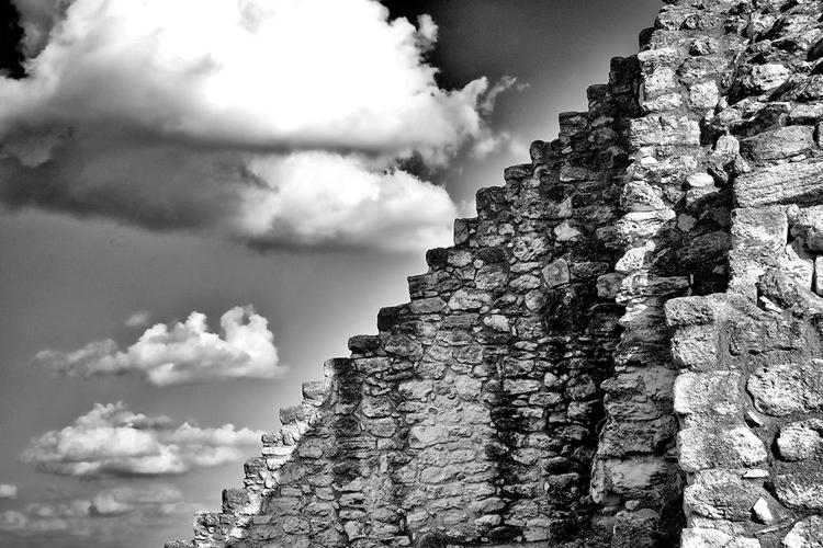 peyton wright harvard