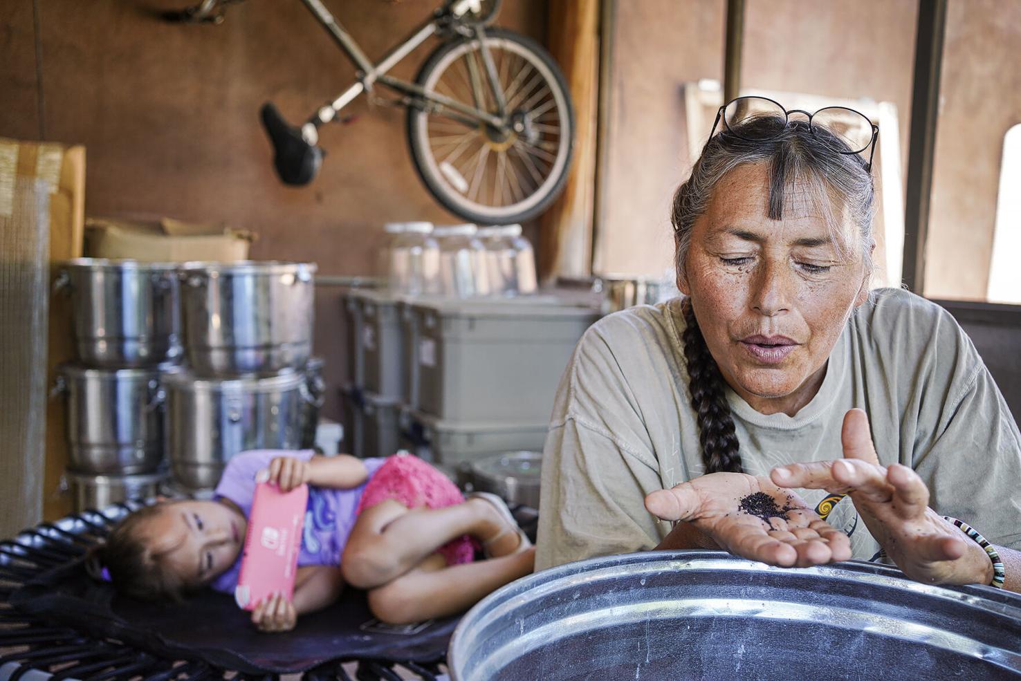 Reclaiming and expanding Native foodways in New Mexico, one seed at a ...