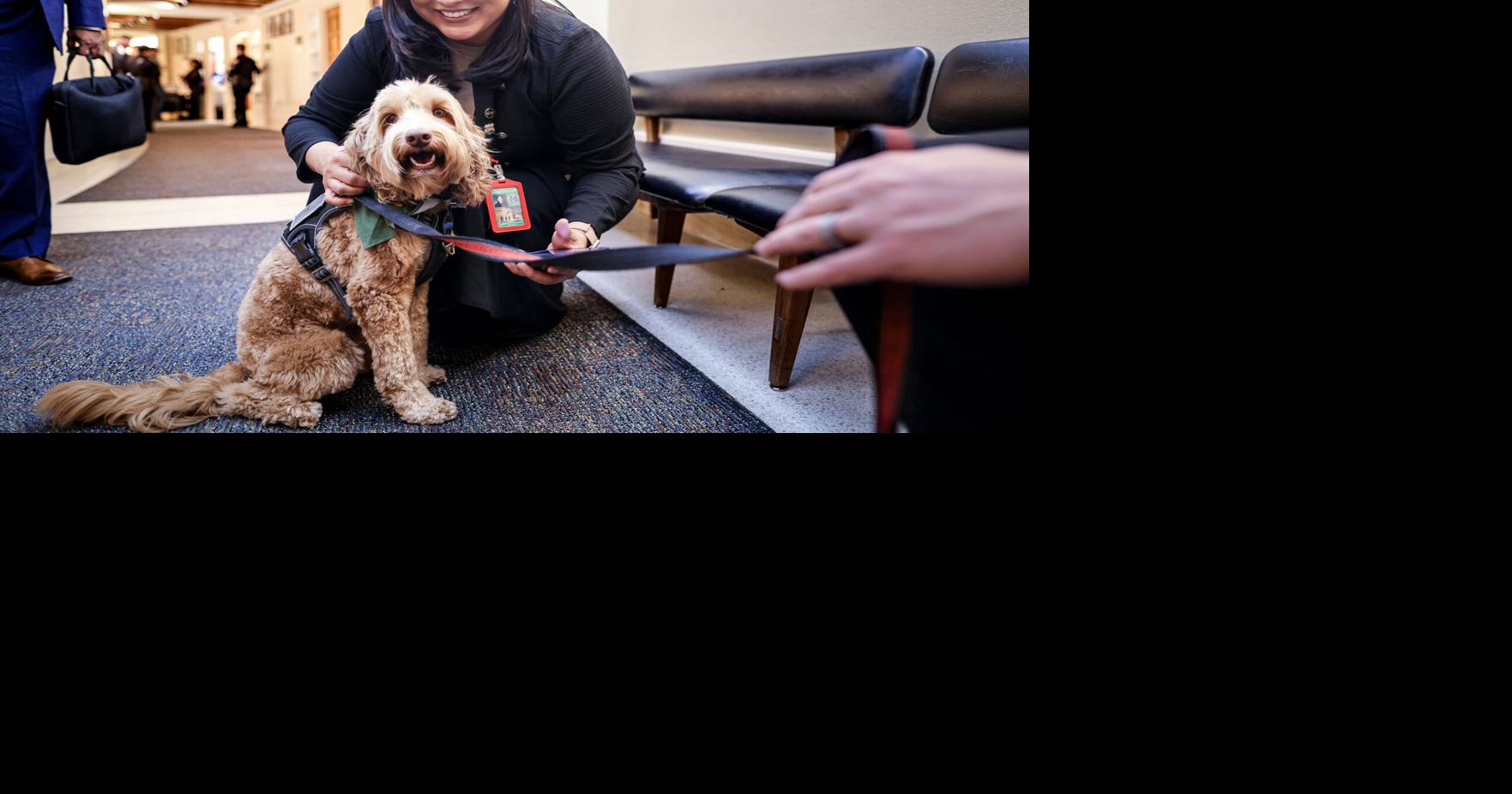 Panel selecting 'state child advocate' for CYFD accountability | Local ...