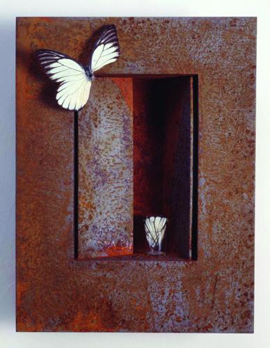 Natural selection: Tasha Ostrander examines the stuff of life and death ...