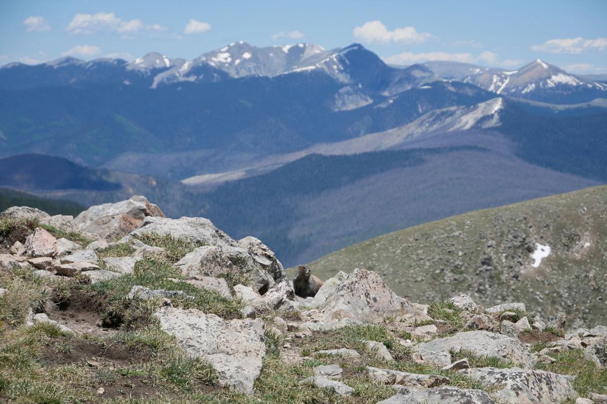 Day Hike: Soaking in the views atop Santa Fe Baldy | Outdoors ...