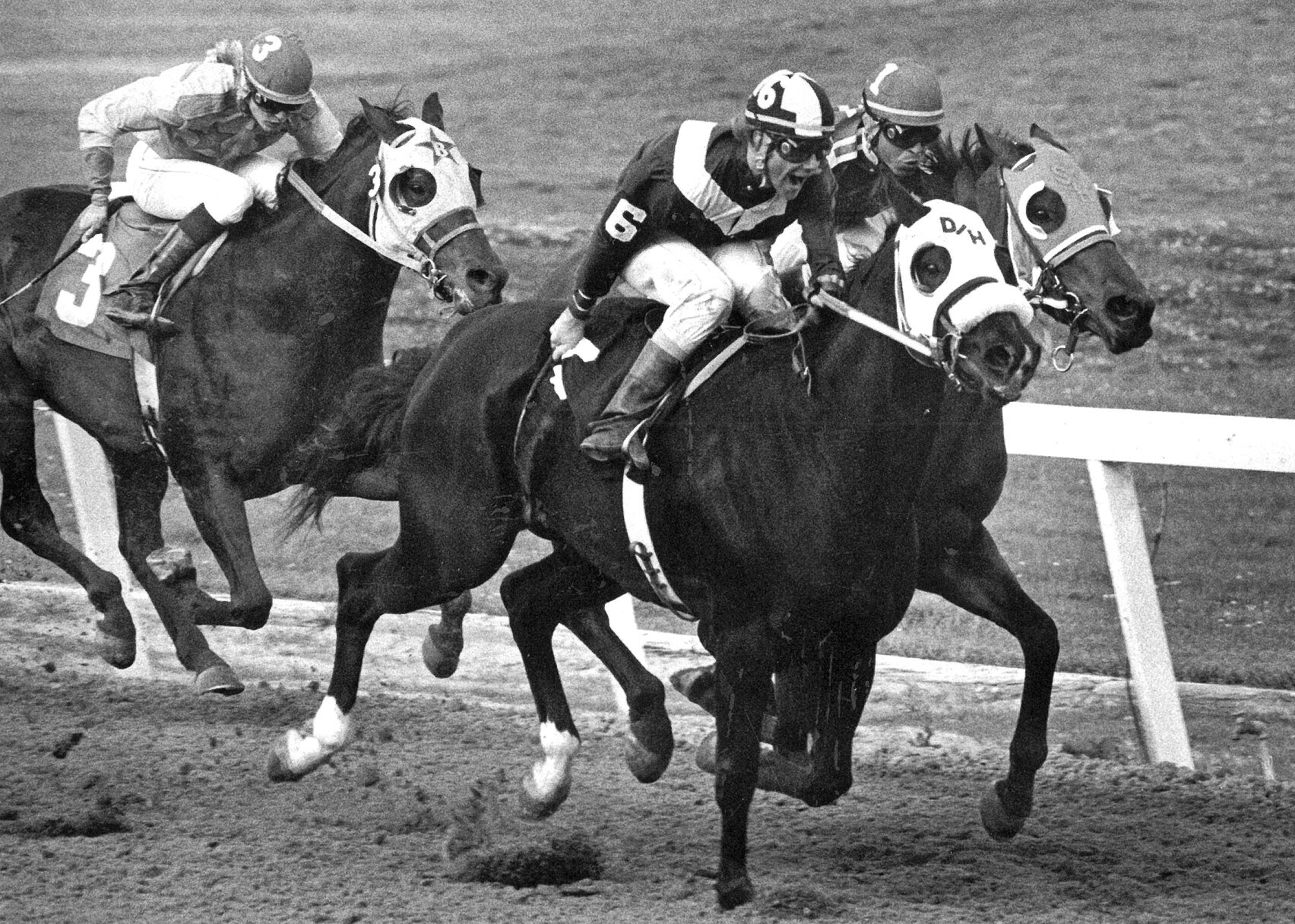 Gallery: Remembering The Downs at Santa Fe | Local News ...