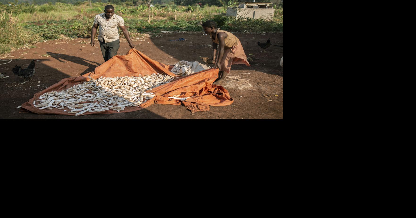 WORLD TRADITIONAL CROPS 1 | | santafenewmexican.com