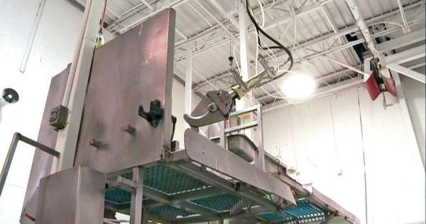 Judge delays ruling in AG's suit vs. horse slaughterhouse | Local News ...