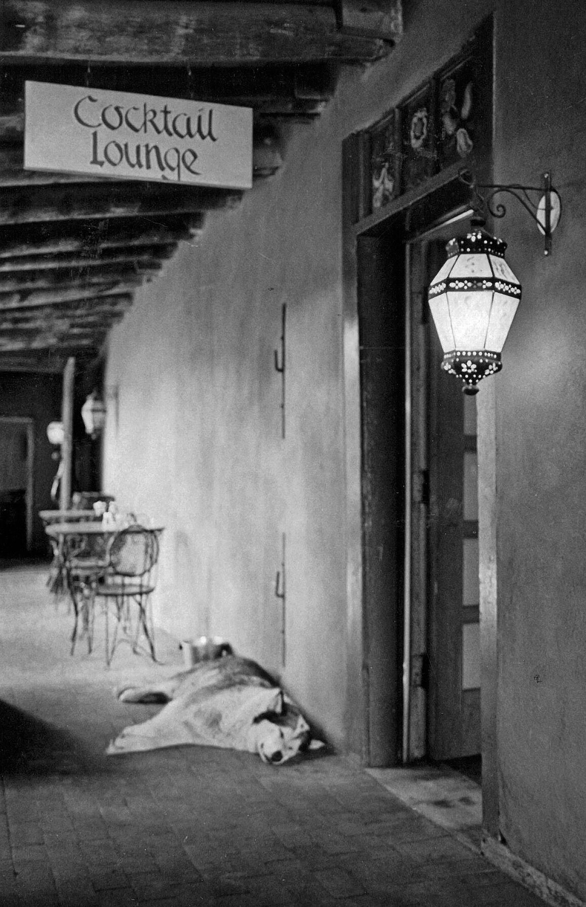 The way we were: Dog days | Local News | santafenewmexican.com