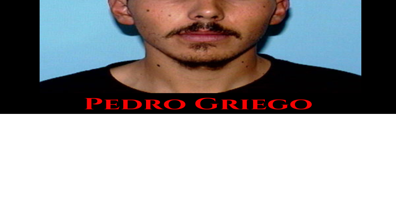 New Mexico State Police officer shoots at fleeing suspect; suspect ...