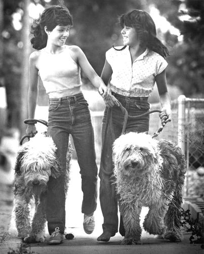 The way we were: Dog days | Local News | santafenewmexican.com