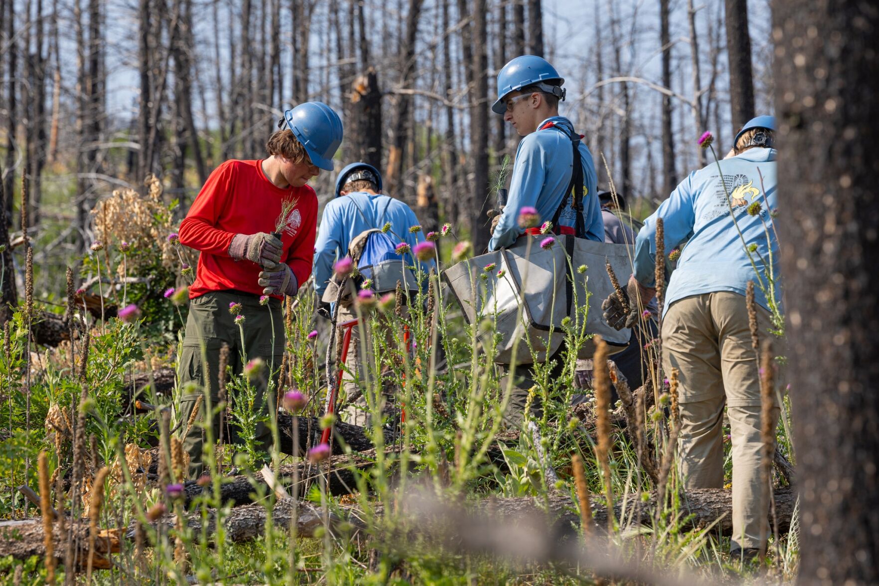 Philmont Scout Ranch in Northern New Mexico pilots ambitious ...