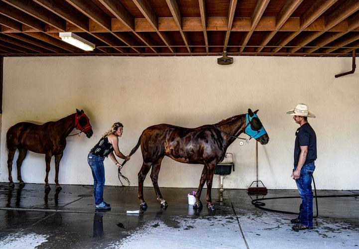 Gallery: Opening Day at the New Mexico State Fair | Local News ...