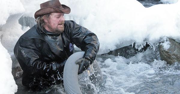 Prospectors head to Alaska in search of gold | National And World News ...