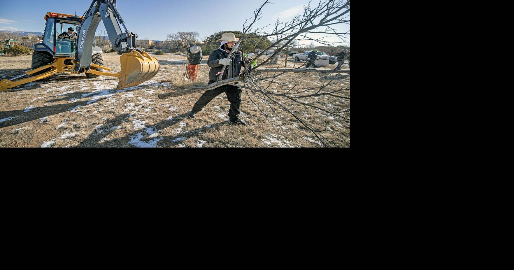 Amid drought, city works to catalog trees, keep them healthy | Local ...