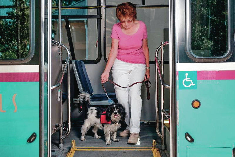 Adoption stories win grants for Santa Fe animal shelter | Scoop/Pets ...