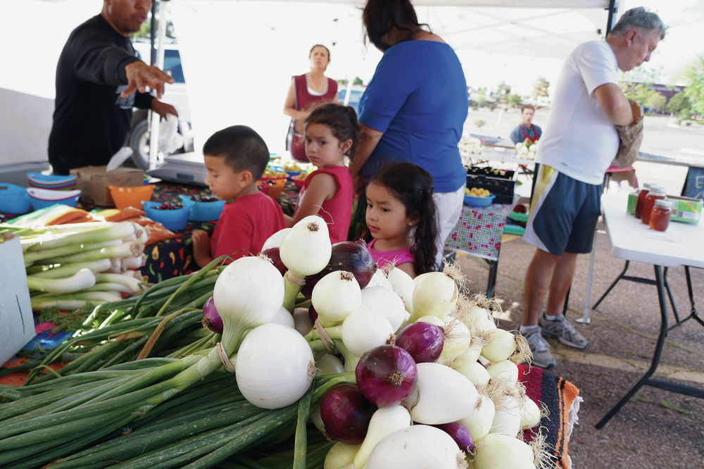 Summer onions big business for New Mexico | Local News ...