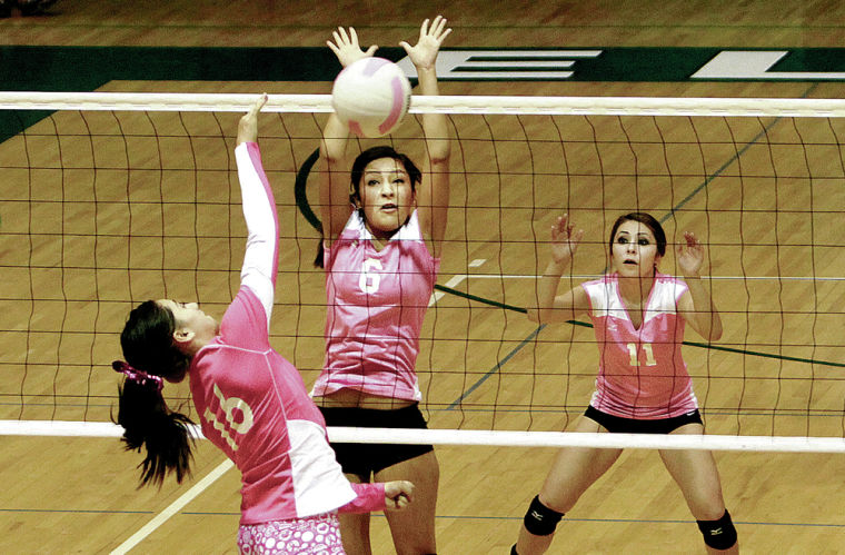Elkettes aim to rise above challenges from last season | High School ...