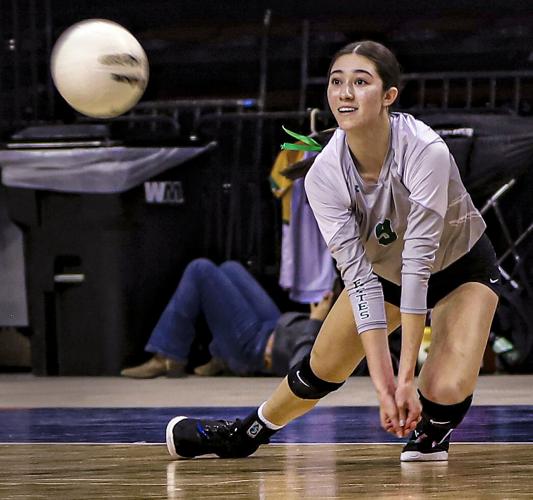Elkettes, Lady Hilltoppers survive consolation bracket to reach ...