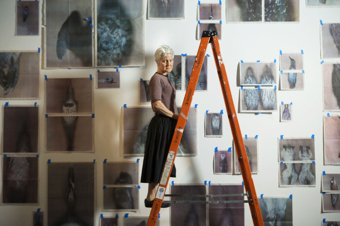 Autumn of the alumni: SITE Santa Fe | Museum Shows | santafenewmexican.com