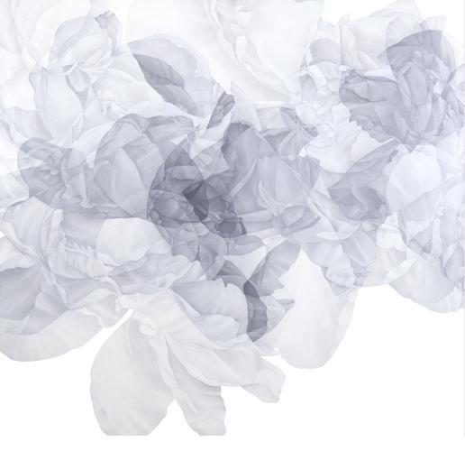 Nature unfolding: The paintings of Greg Murr | Art | santafenewmexican.com