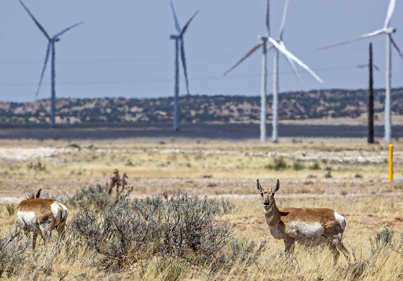 Huge wind project developing in Central New Mexico | Local News ...
