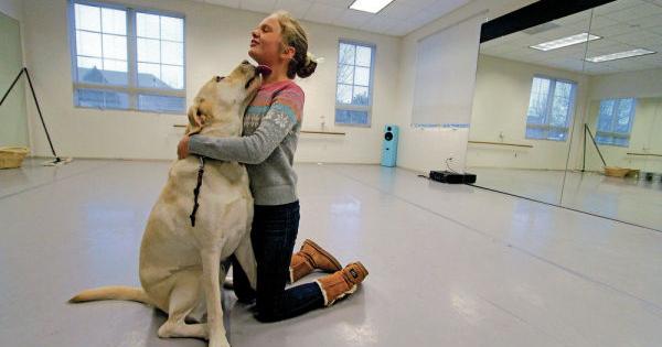Four Santa Fe dogs vie for spot on stage in upcoming ‘Annie’ | Local ...