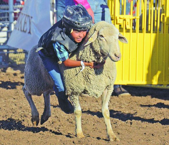 Annual rodeo showcases daily life for ranchers | Sports ...